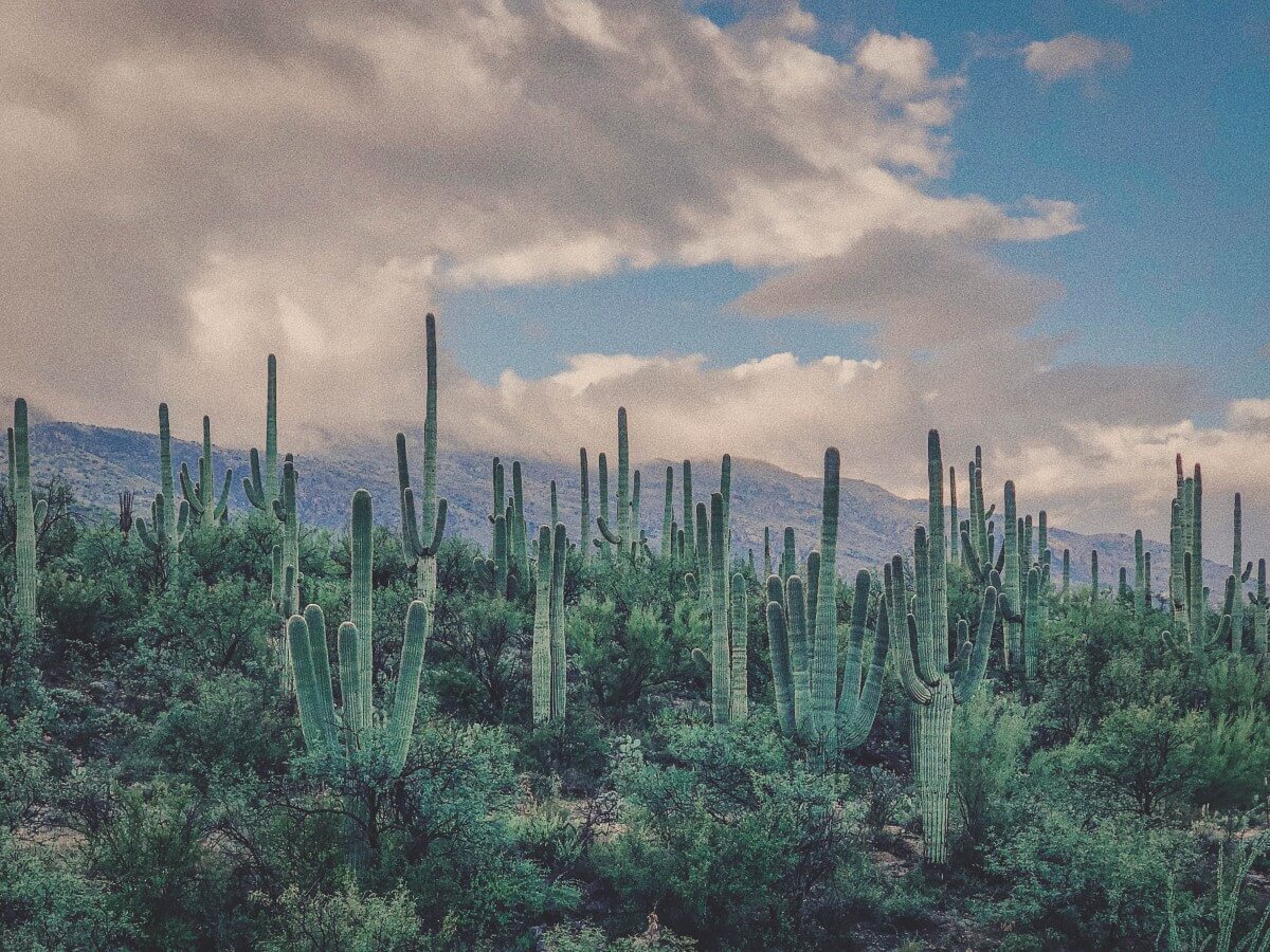 Top 21 US States To Visit In 2021 | Passport To Eden