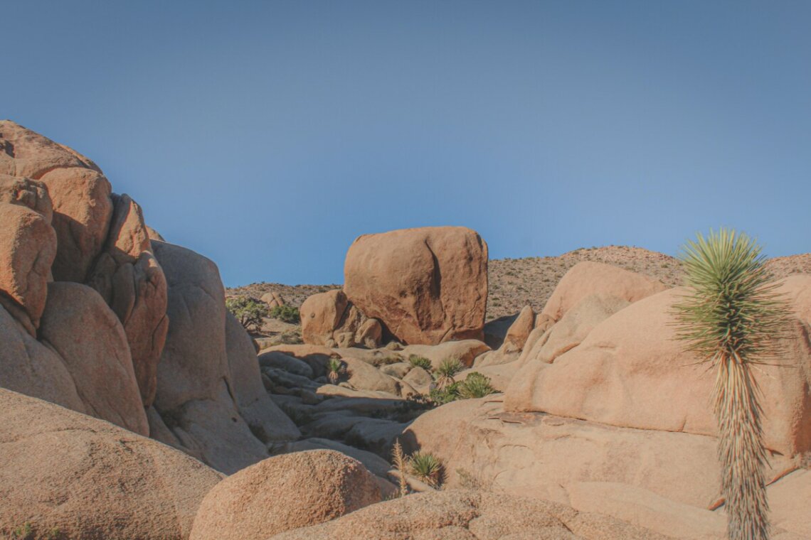 12 Best Hikes In Joshua Tree National Park - Passport To Eden