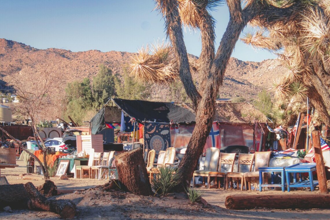 10 Things To Do On A Day Trip To Joshua Tree - Passport To Eden